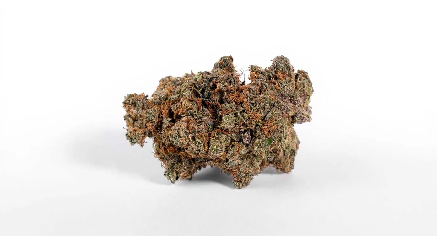 High Octane Strain: Effects, Benefits, THC, Grow & FAQs