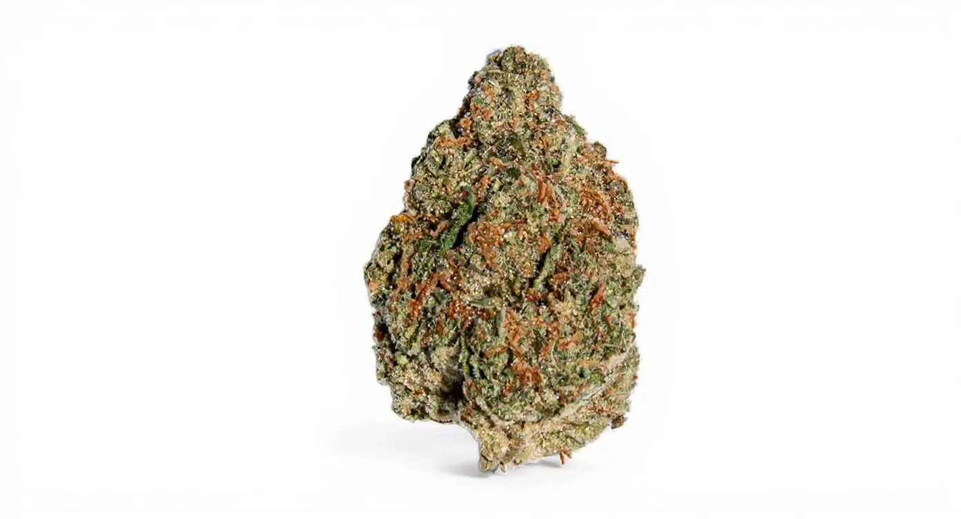 Jenny Kush Strain: Effects, Benefits, THC, Grow & FAQs