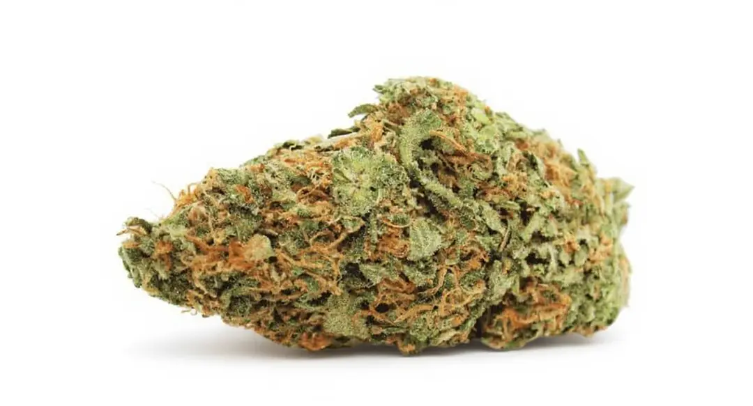 Lemon Haze Strain: Effects, Benefits, THC, Grow & FAQs