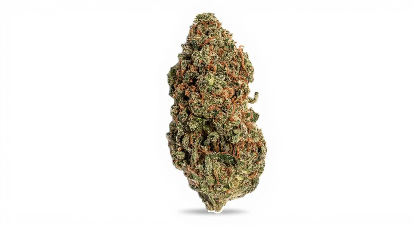 Lilac Diesel Strain: Effects, Benefits, THC, Grow & FAQs