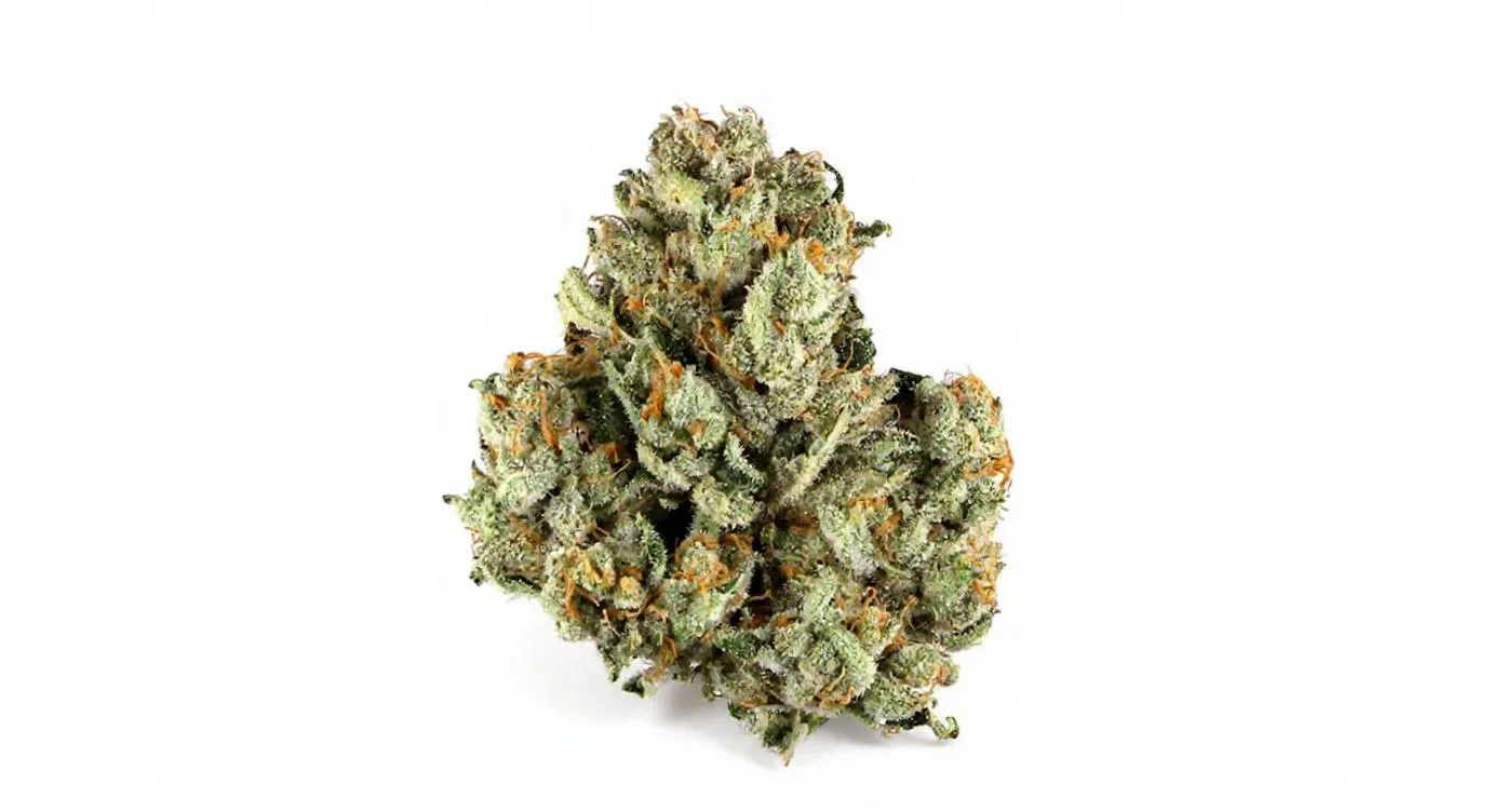 Pancakes Strain: Effects, Benefits, THC, Grow & FAQs