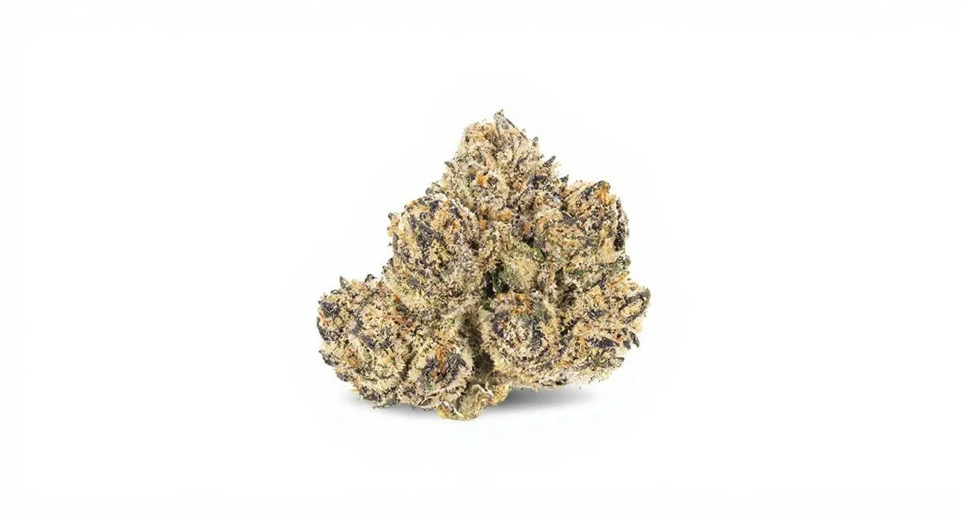 White Gummies Strain: Effects, Benefits, THC, Grow & FAQs