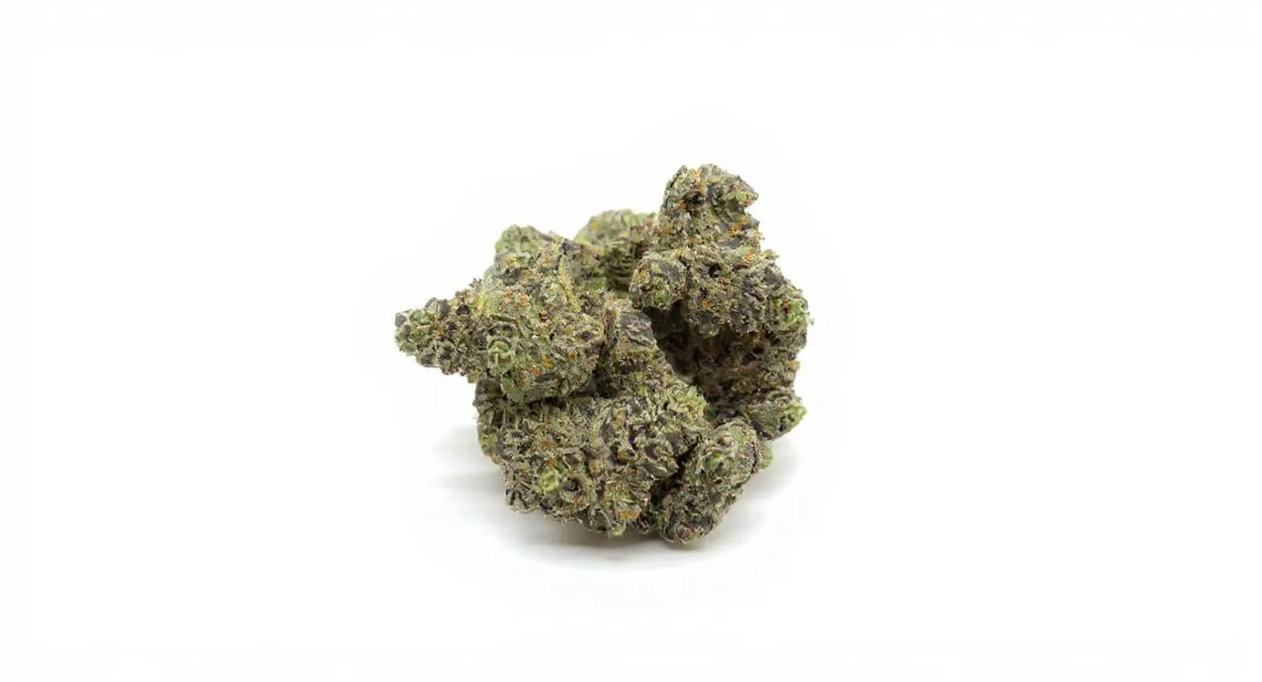 White Truffle Strain: Effects, Benefits, THC, Grow & FAQs